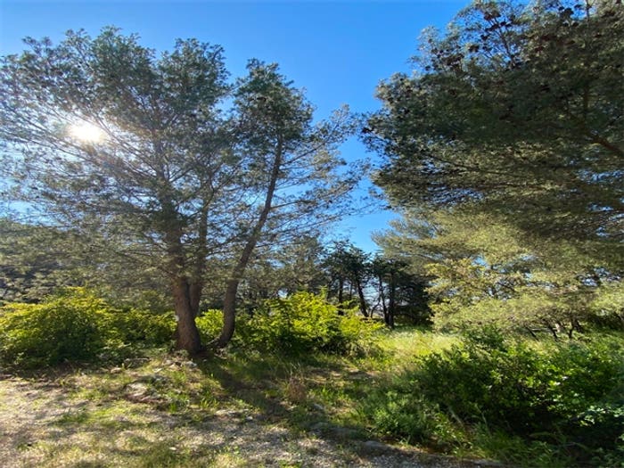 Appartement 4 pièces à vendre à Le Crès