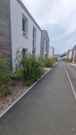 Nord, Nieul-sur-Mer - Maison 5 pièces à louer