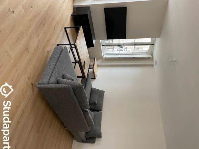 Centre, Angers - Appartement 1 pièce à louer