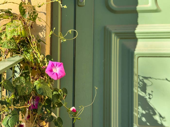 Elne : Maison 5 pièces à vendre