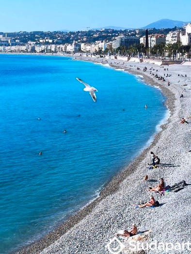 Californie, Nice : Appartement 1 pièce à louer