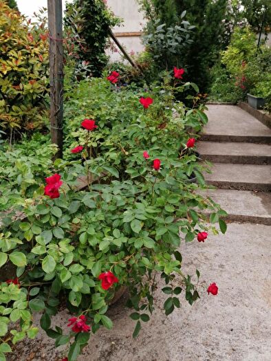 Congerville-Thionville - Maison 7 pièces à vendre