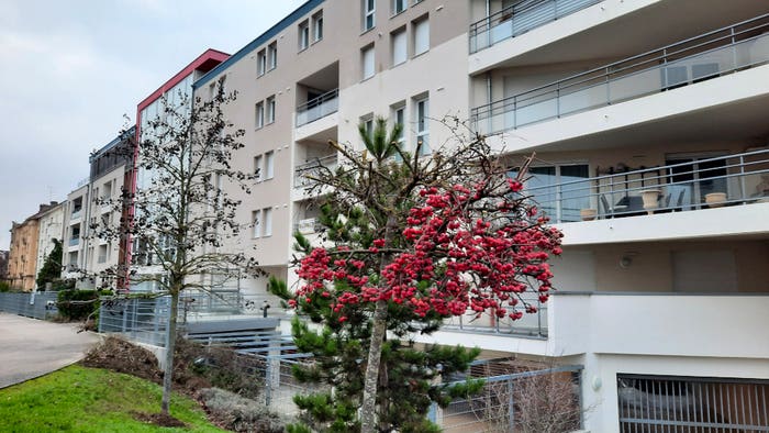 Longeville-lès-Metz - Appartement 3 pièces à louer