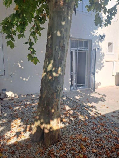 Maison 3 pièces à louer à Peypin